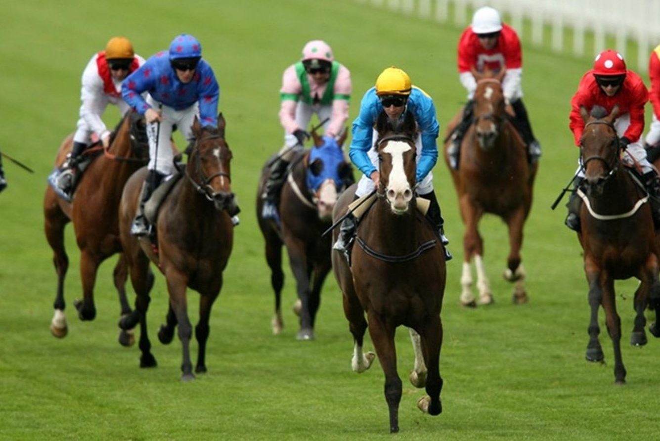 Front Page - Pro Sports Investments